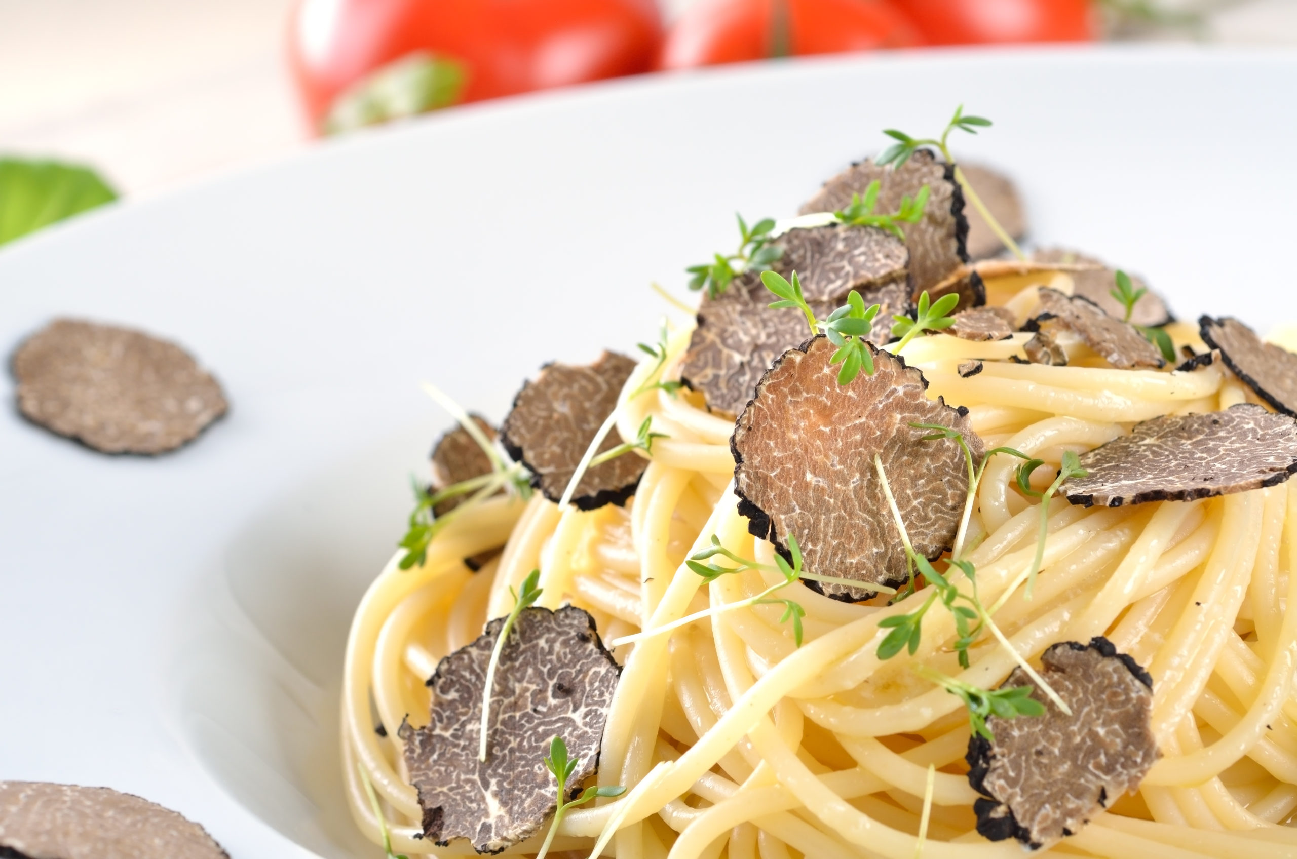 Truffles, the Diamonds of Gastronomy | Giorgio’s Gourmet – Four Seasons ...