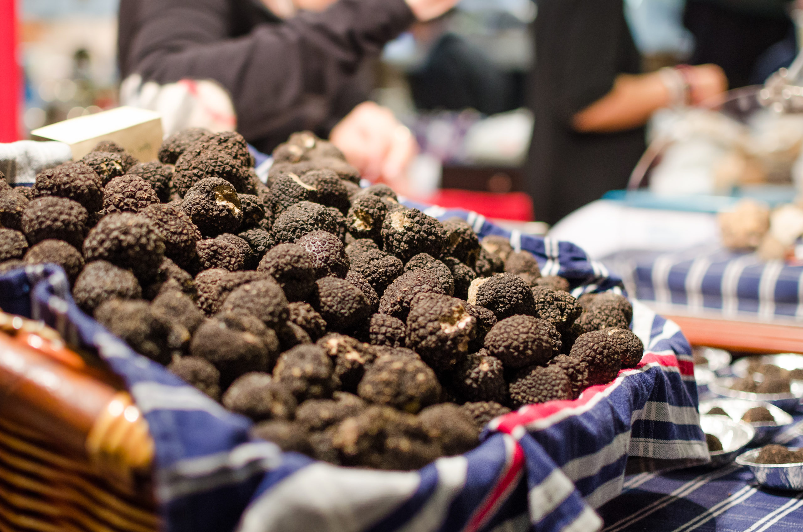 Truffles, the Diamonds of Gastronomy | Giorgio’s Gourmet – Four Seasons ...